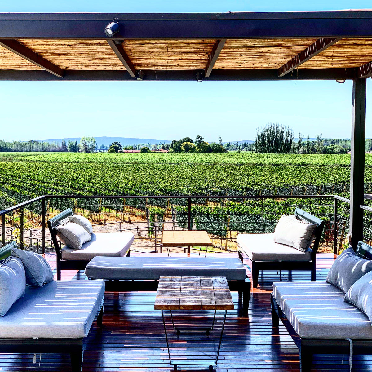Finca Bandini House of Wines an Oasis in Mendoza’s Wine Country ...