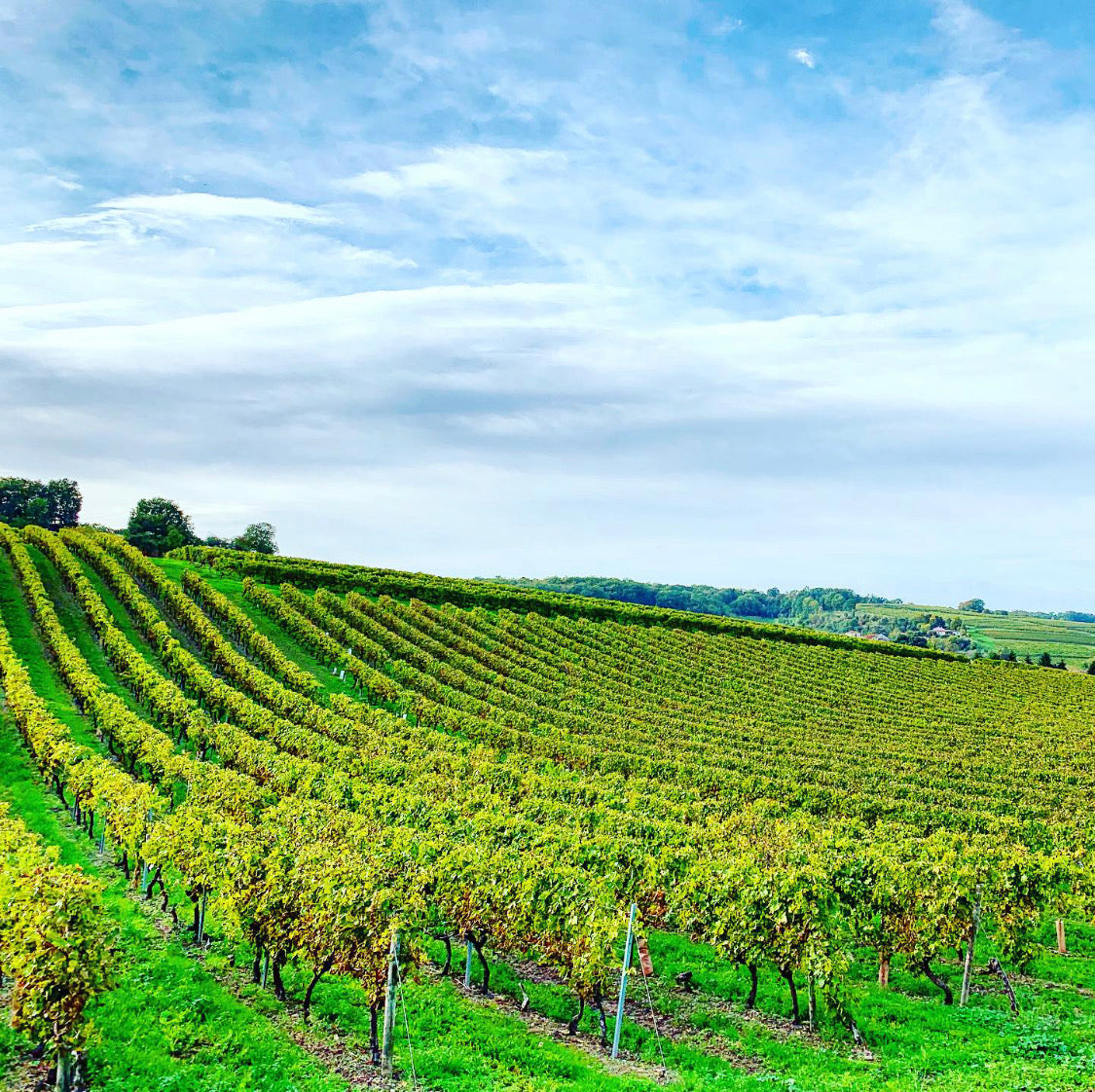 Meet Cognac - The Land of Vineyards by the Sea with a Magnificent Spir ...