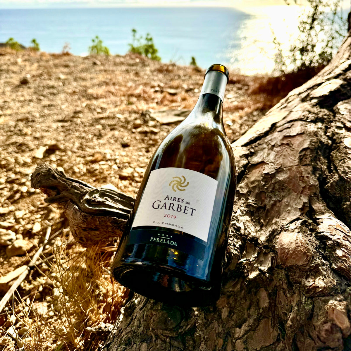 Aires de Garbet is Wine Destinations’ Wine of the Year – WineDestinations